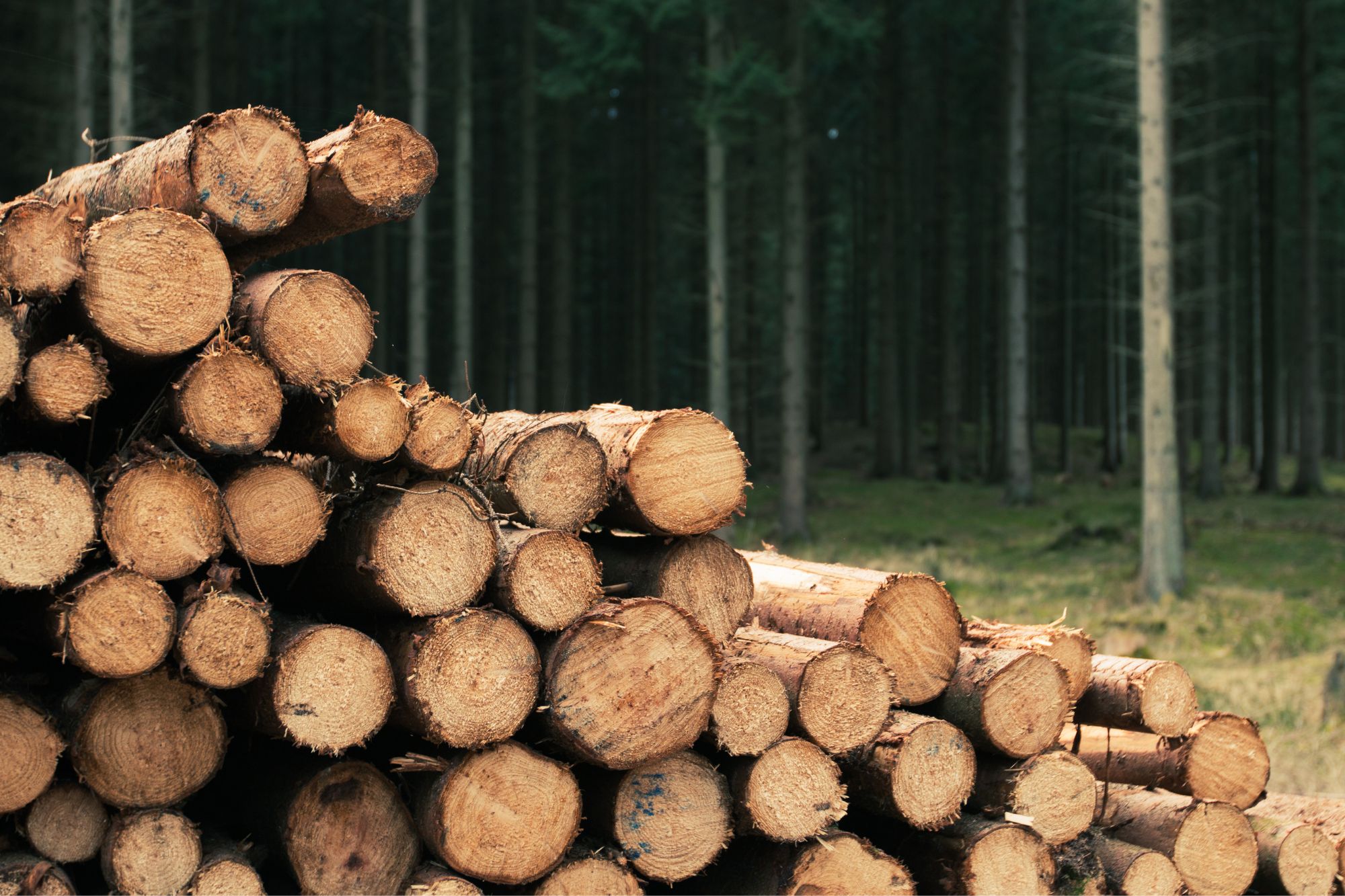 R-Netts Firewood – Firewood Services Columbus, OH